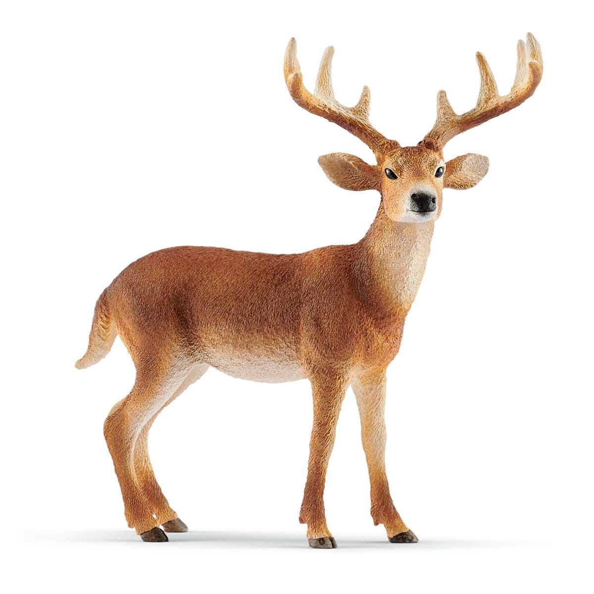 Witstaarthert 14818 WILD LIFE | schleich