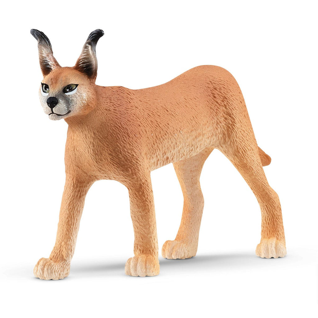 Vrouwtjescaracal 14867 WILD LIFE | schleich
